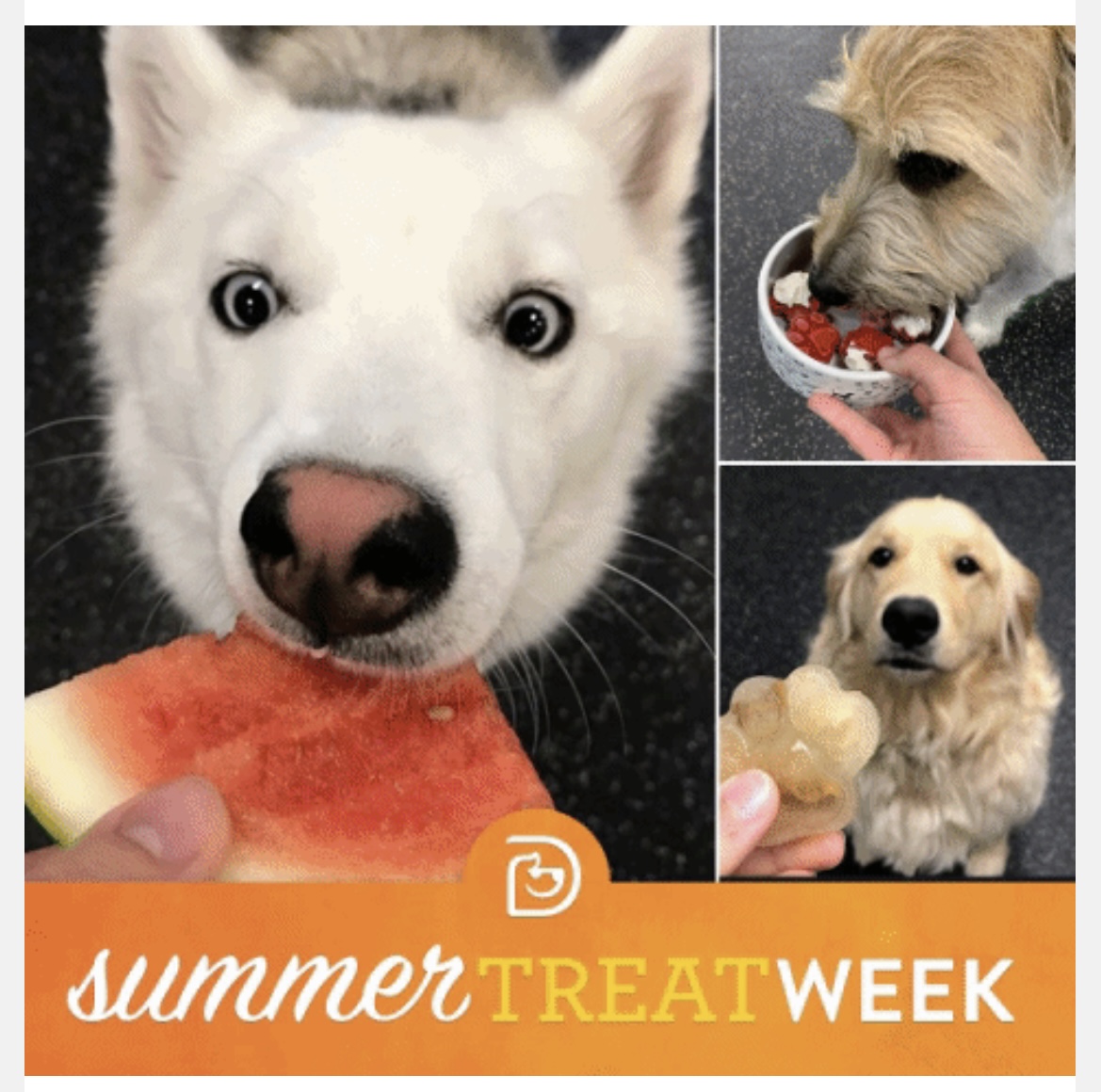 Summer Frozen Treat Week: July 25-29 - Downers Grove