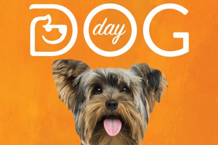 National Dog Day - New Orleans