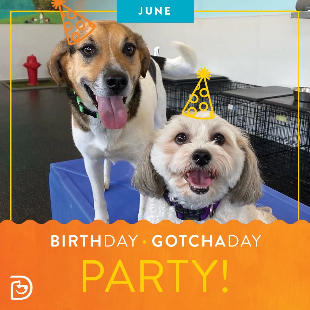 June Birthdays/Gotcha Photos - Edmond