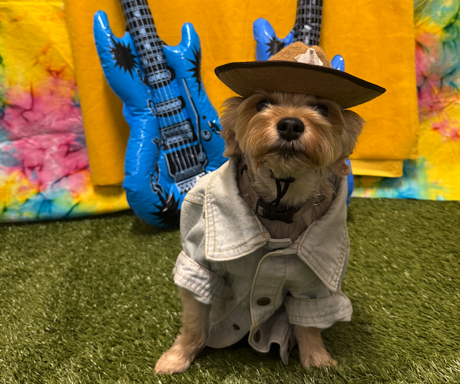 Crazy Outfit Photoshoot - Edmond