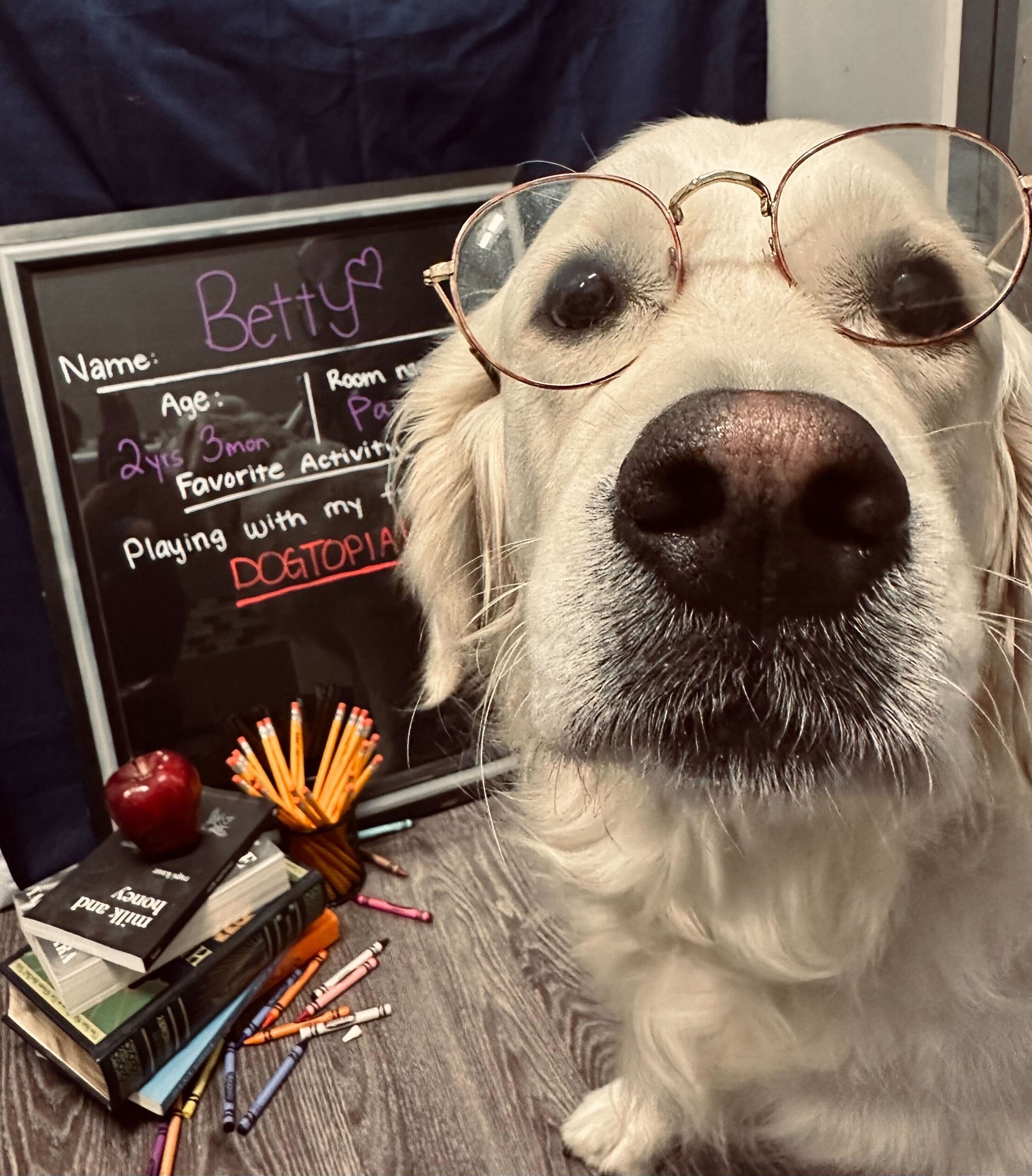 Back to School Photoshoot! - Sacramento - Nimbus Winery