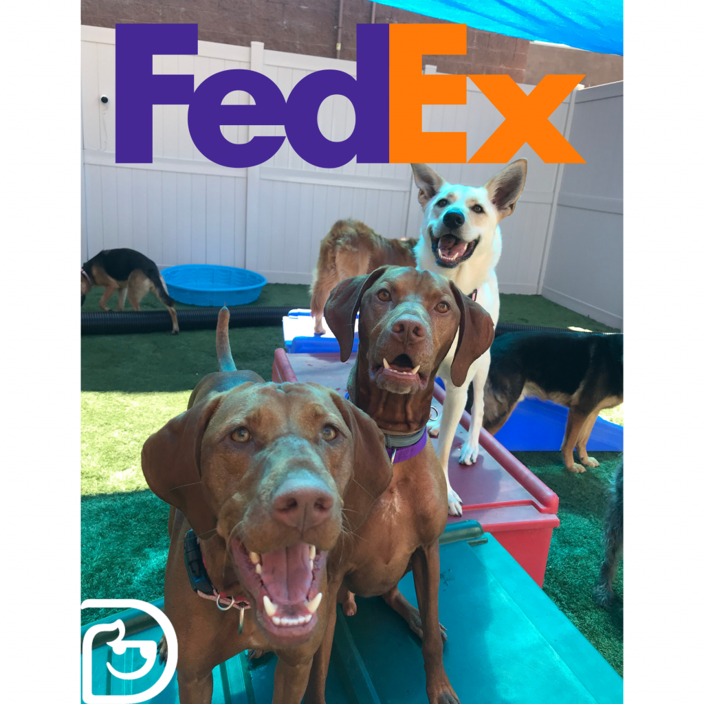 Fedex Appreciation Week! - Carriage Crossing