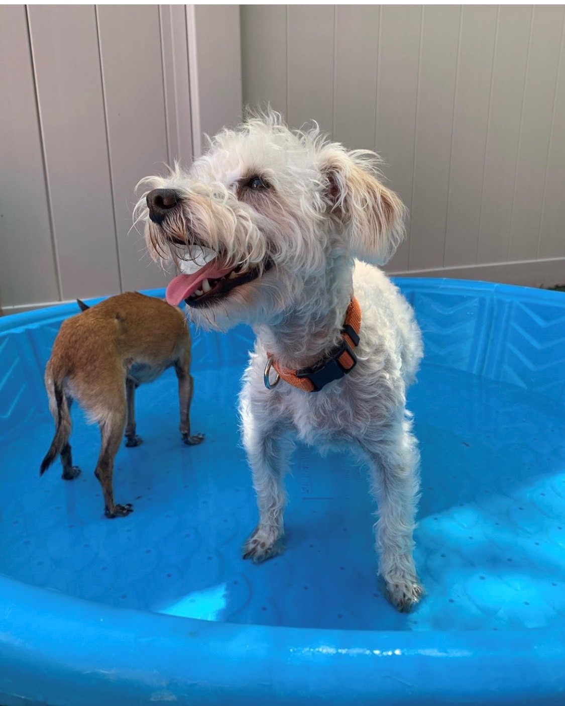 Water Wednesday! - The Woodlands North