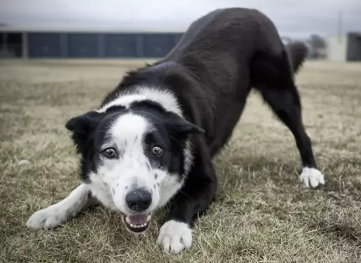 Freeze Tag Friday!!! - The Woodlands North