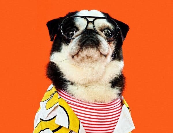 Wacky Tacky Wednesday - The Woodlands North