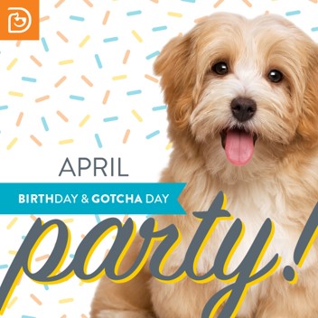 April Party! - The Woodlands North