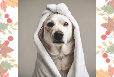 Fall Happy Hour! - The Woodlands North