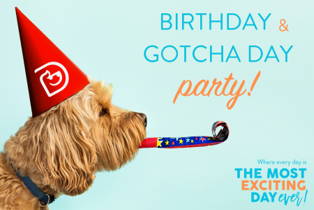 Birthday & Gotcha Day Party! - The Woodlands North