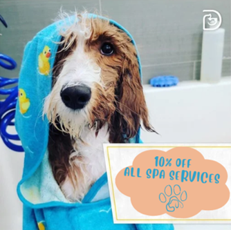 Spa Happy Hour! - The Woodlands North