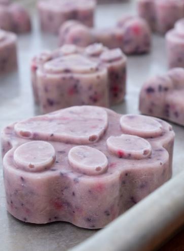 National Raspberry Day! - The Woodlands North