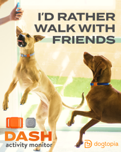 National Walk Your Dog Week! - The Woodlands North