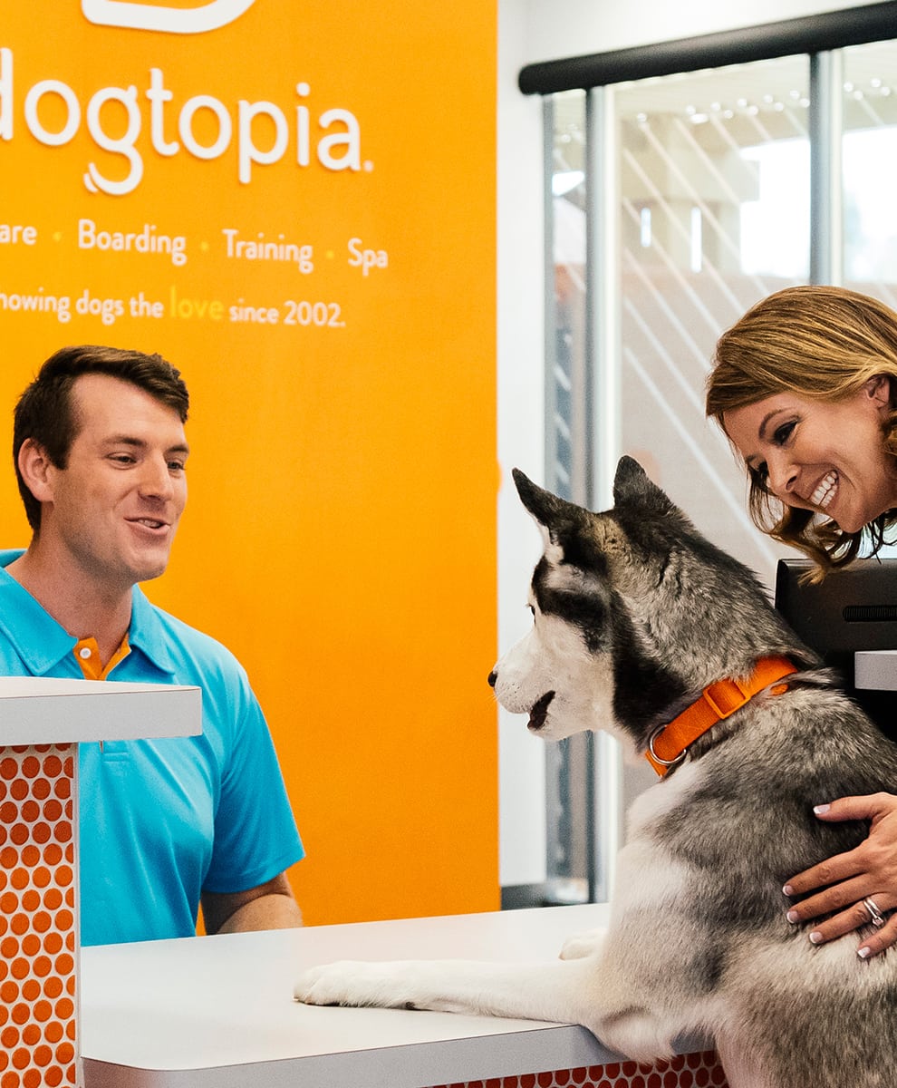 Restaurant Owners Looking to Diversify Should Consider Pet Industry ...