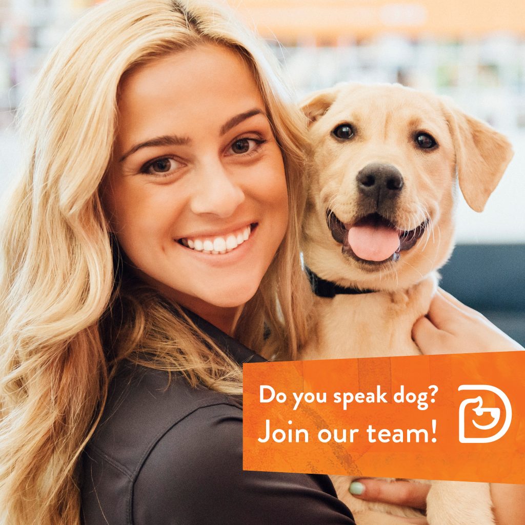 Canine Coach - Redmond