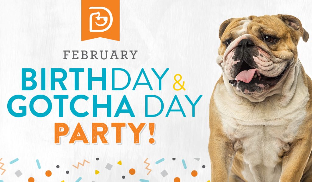February Birthday Party - Redmond