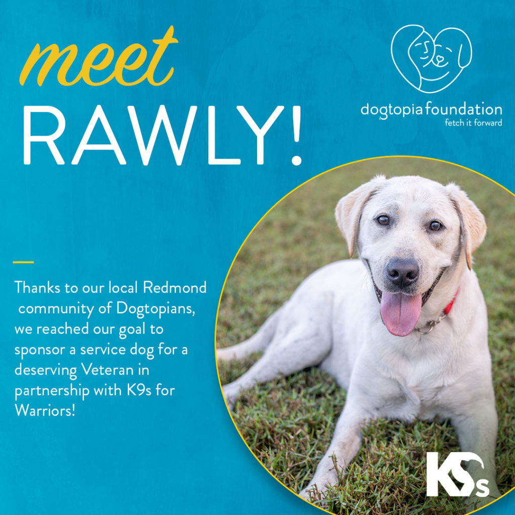 Service Dogs - Redmond