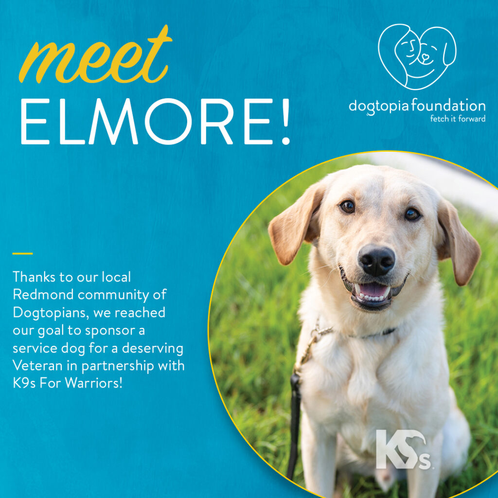 Service Dogs - Redmond