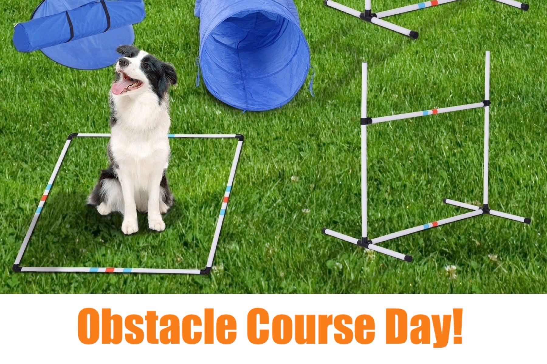 Obstacle Course Day! - Grand Rapids