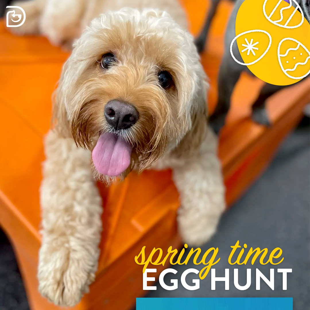 Springtime Egg Hunt - Grand Rapids