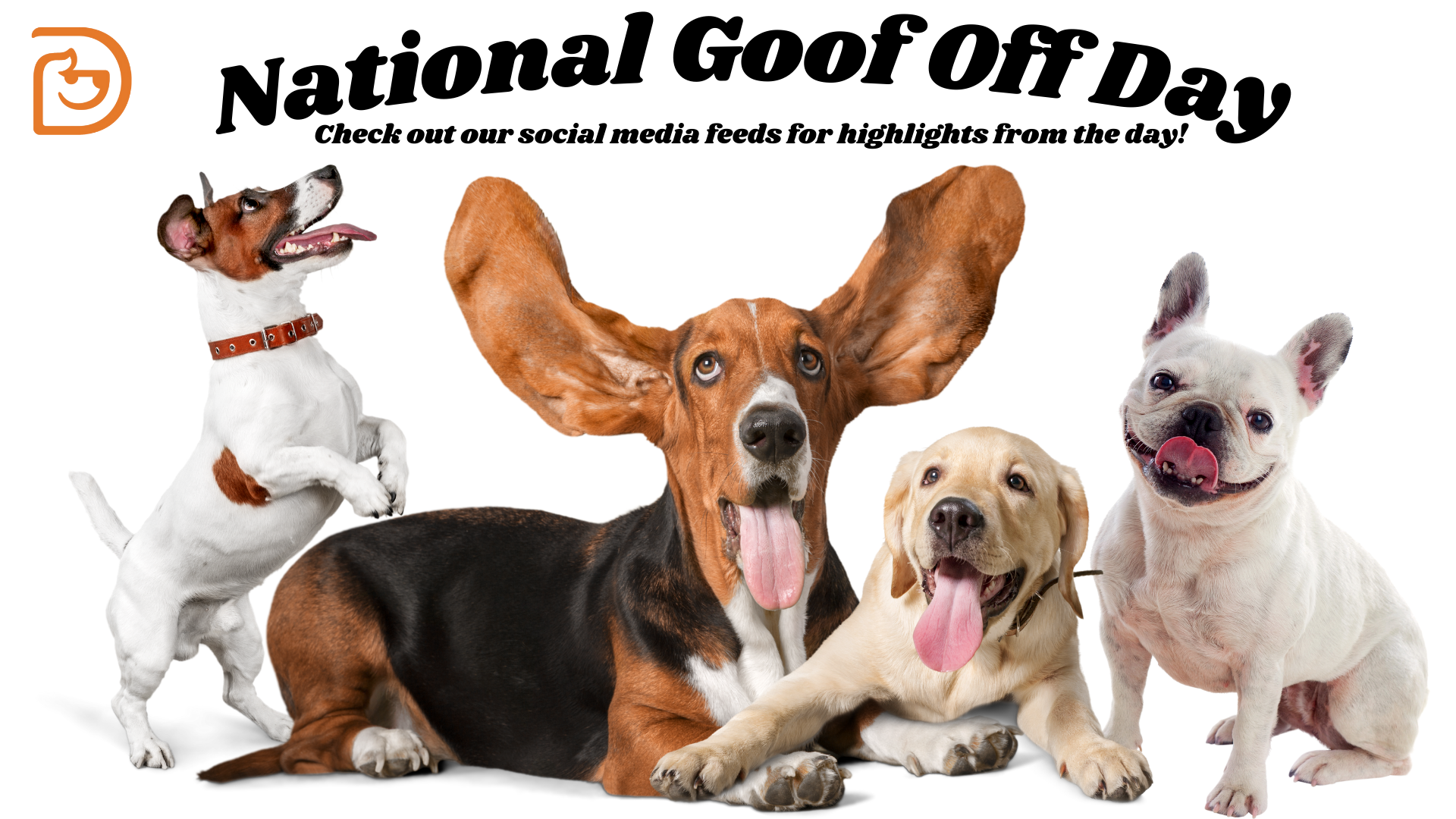 National Goof Off Day - Grand Rapids