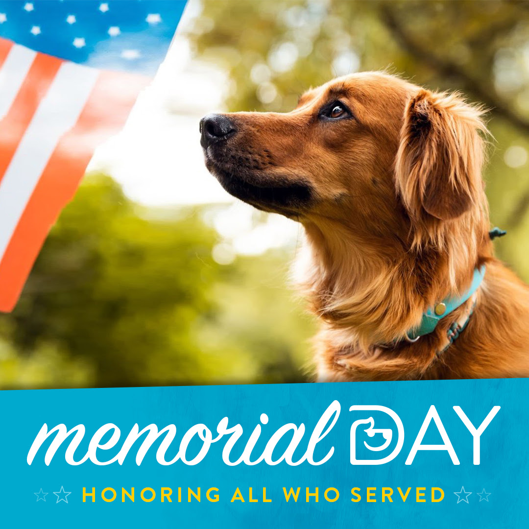 Memorial Day Foundation Bacon & Boarding - Dublin