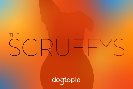 The Scruffys - Dublin