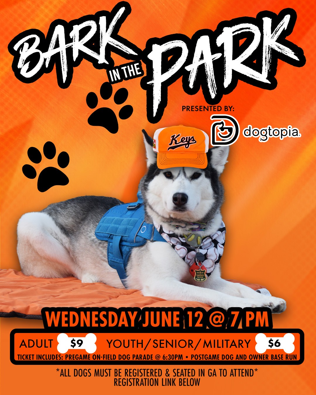 Bark in the Park! - Frederick