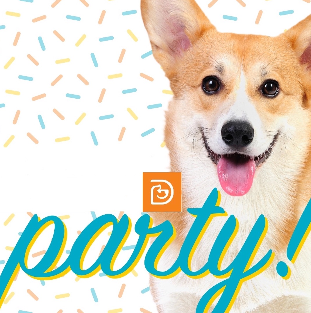 International Corgi Day! - Frederick