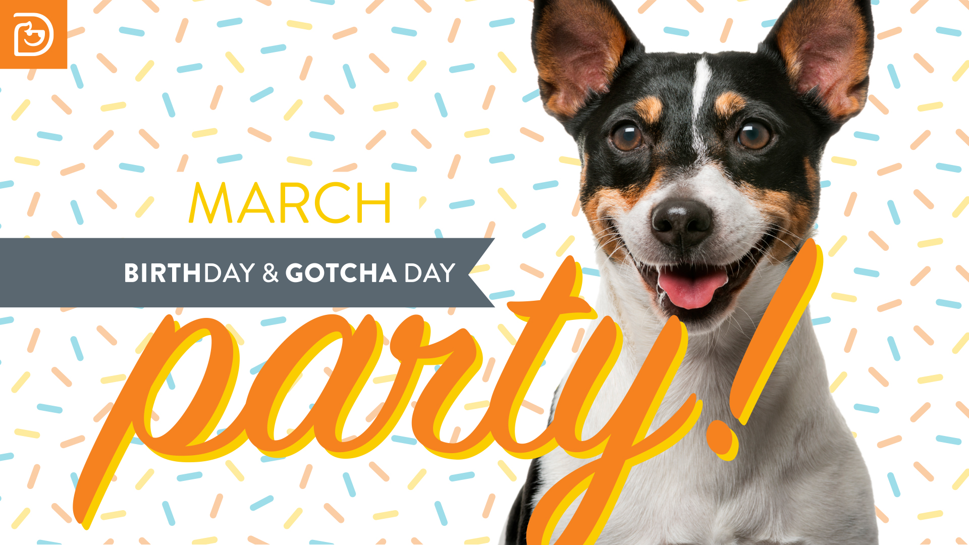 March Birthday Celebration - Limerick