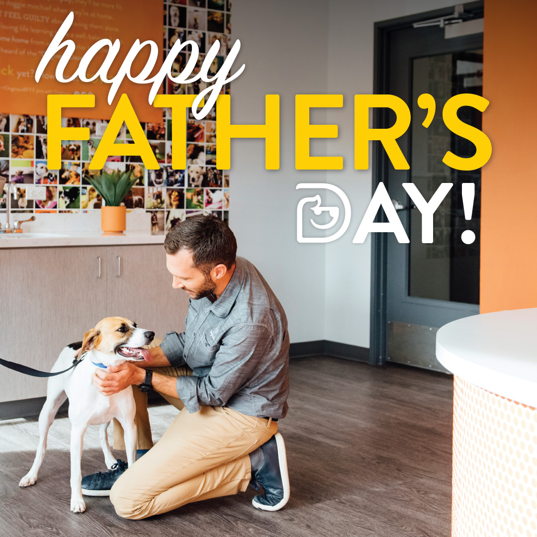 Father's Day - Limerick