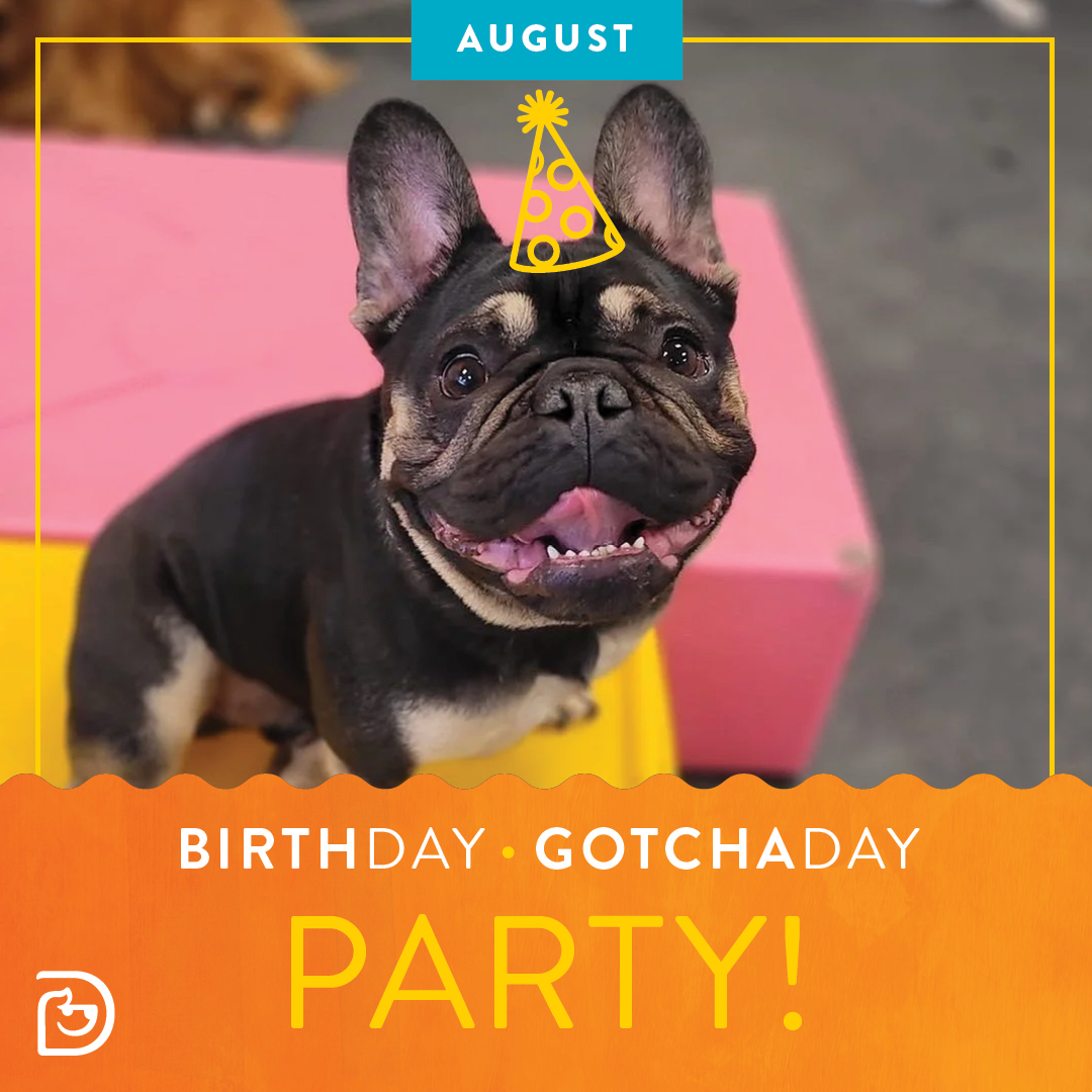 August Birthdays & Gotcha Days - Limerick