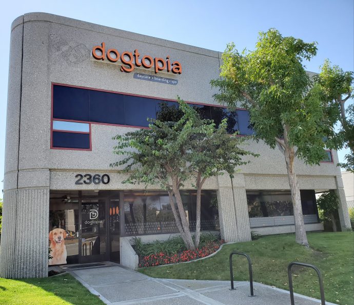 Dog Daycare, Spa, Boarding | Dogtopia of South Bay
