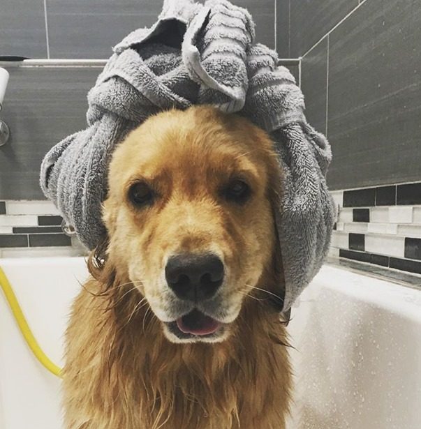 Bath it Forward! - Dallas – Inwood