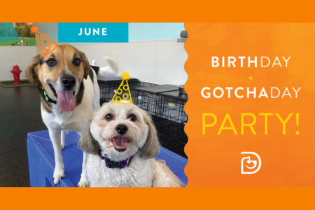 June Birthday Party - South Elgin