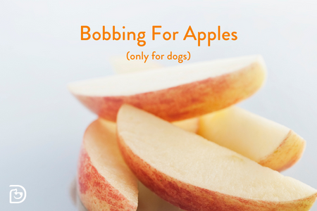 Bobbing for Apples - South Elgin