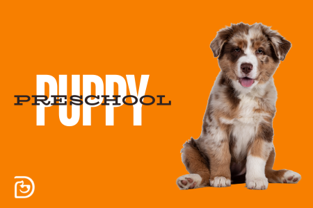 Calling all puppies! It’s time for Puppy Preschool! - South Elgin