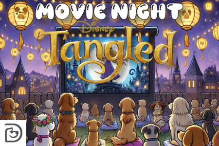Tangled Movie Night! - South Elgin