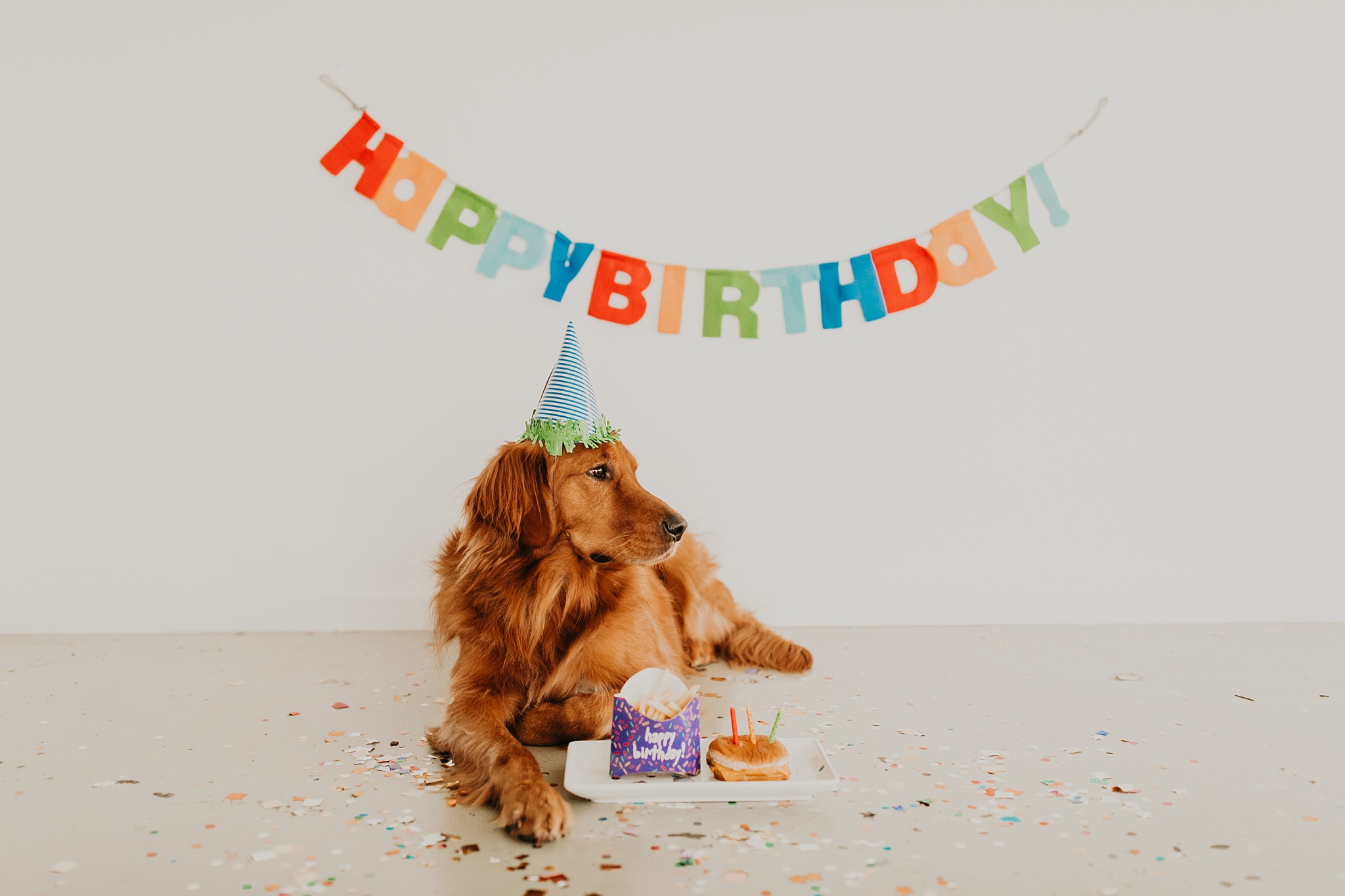 Gotcha & Birthday Party - Ellisville