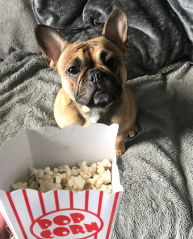 POP INTO SPRING WITH A POPCORN TREAT! - Pittsburgh