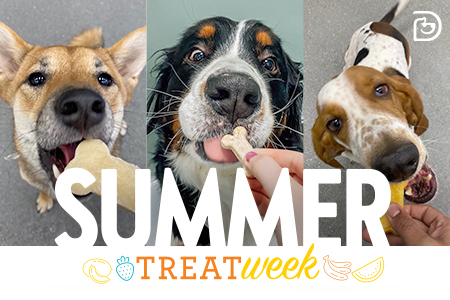 Treat Week - Deer Park