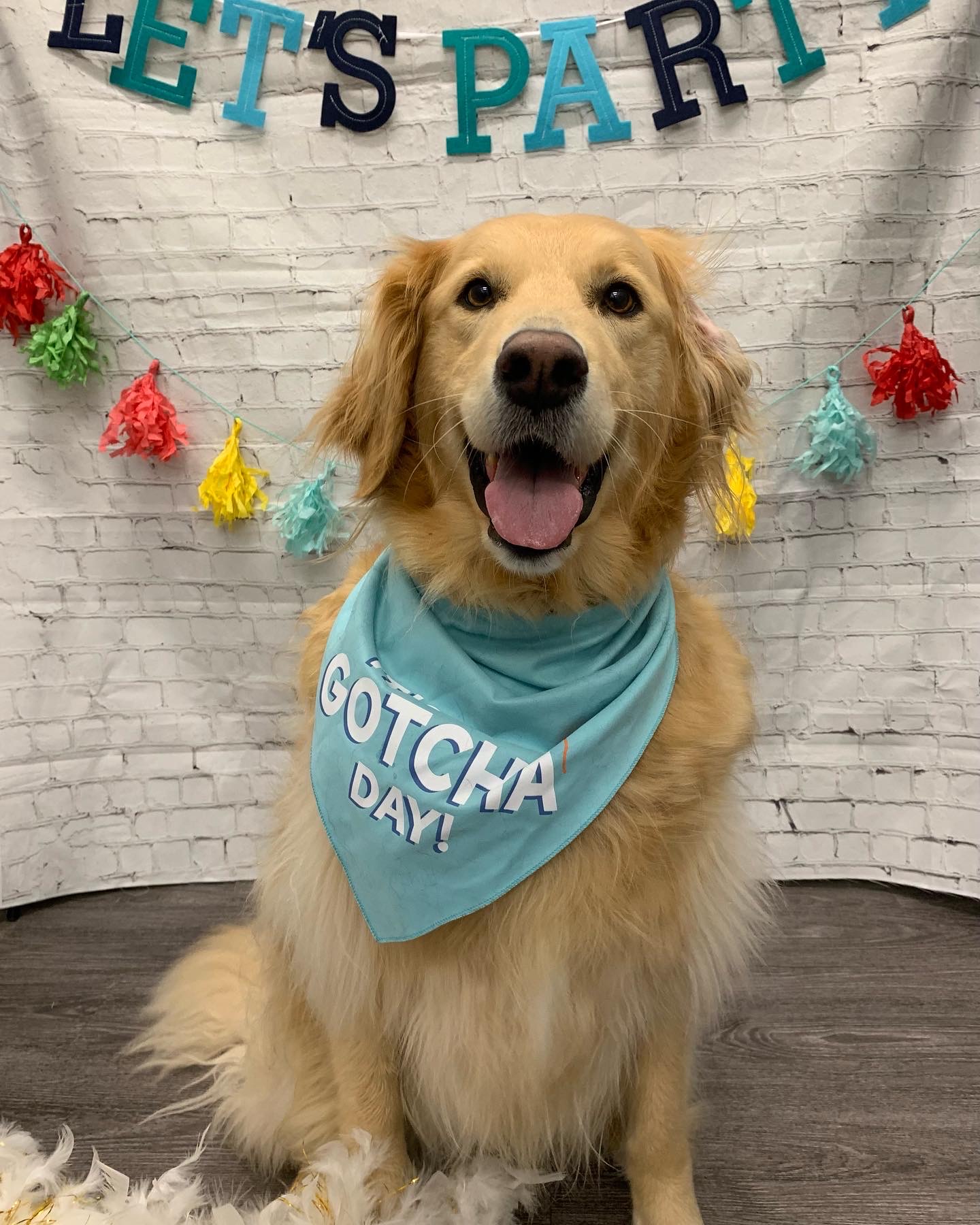 Birthday and Gotcha Picture Day - Deer Park