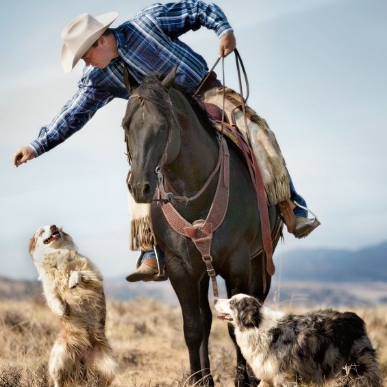 Wild West Photos TOYBOX - St. Peters