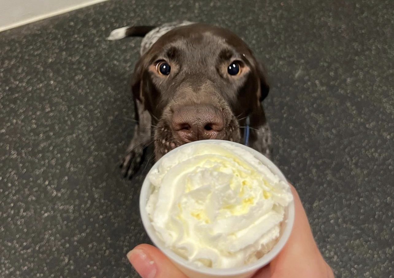 National Snack Day! - Columbus-Dublin