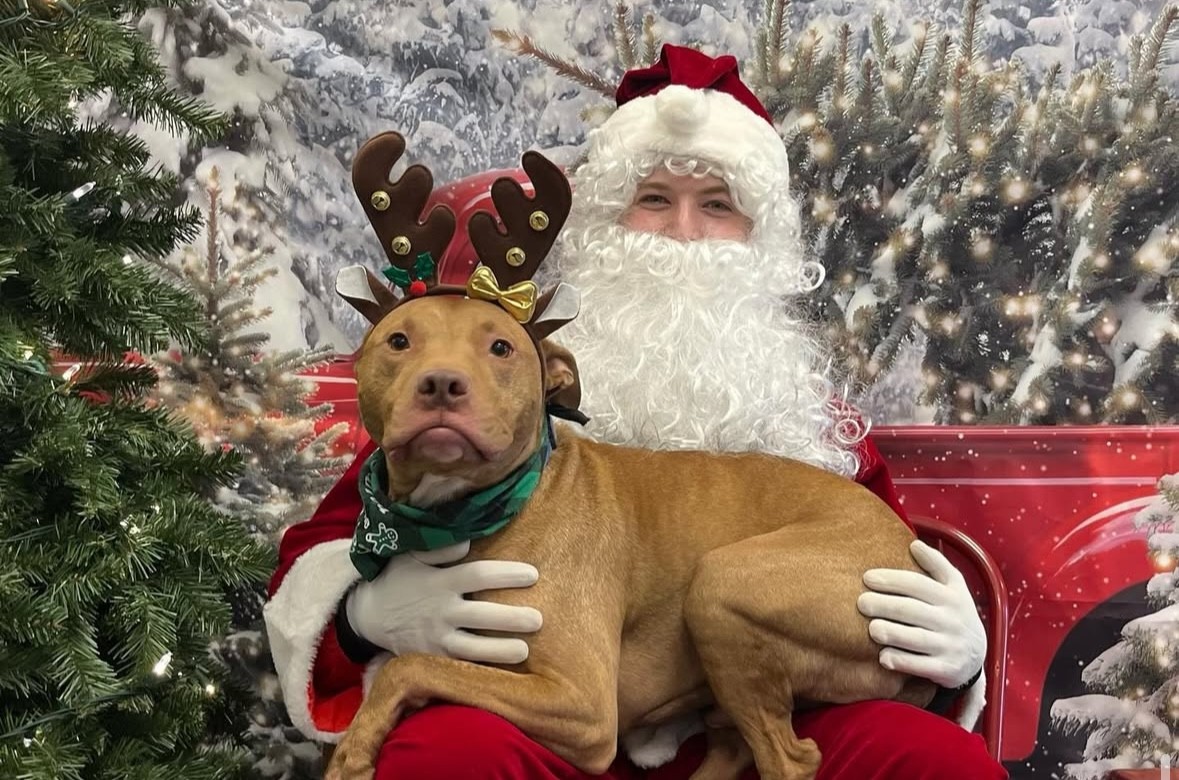 Photos with Santa! - Columbus-Dublin