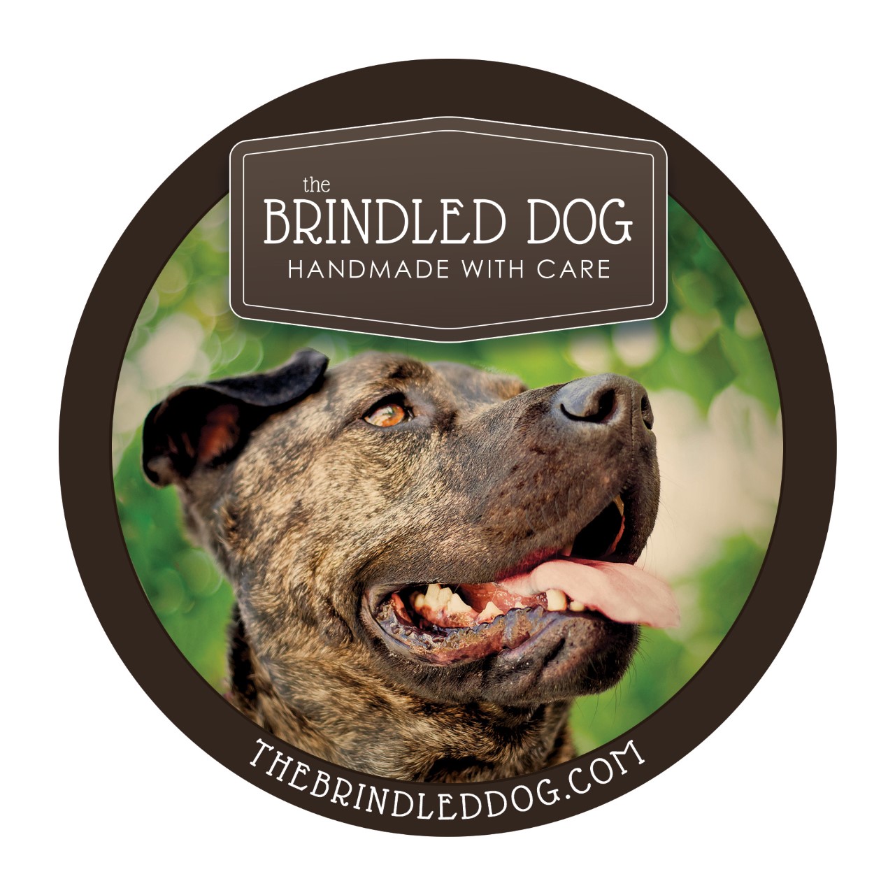 The Brindled Dog Pop-Up - Haywood Road