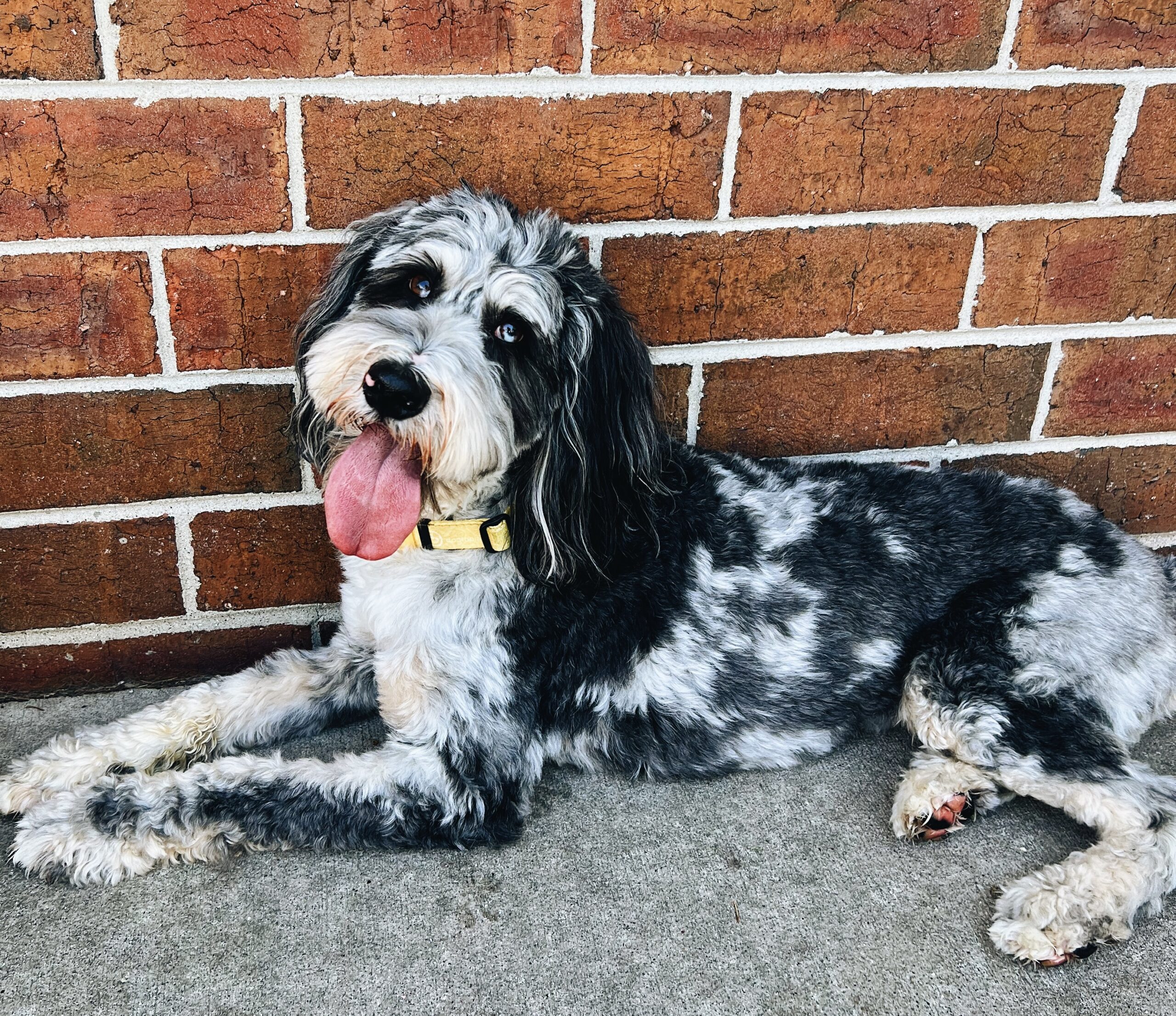 Unique Names Day - Geneva