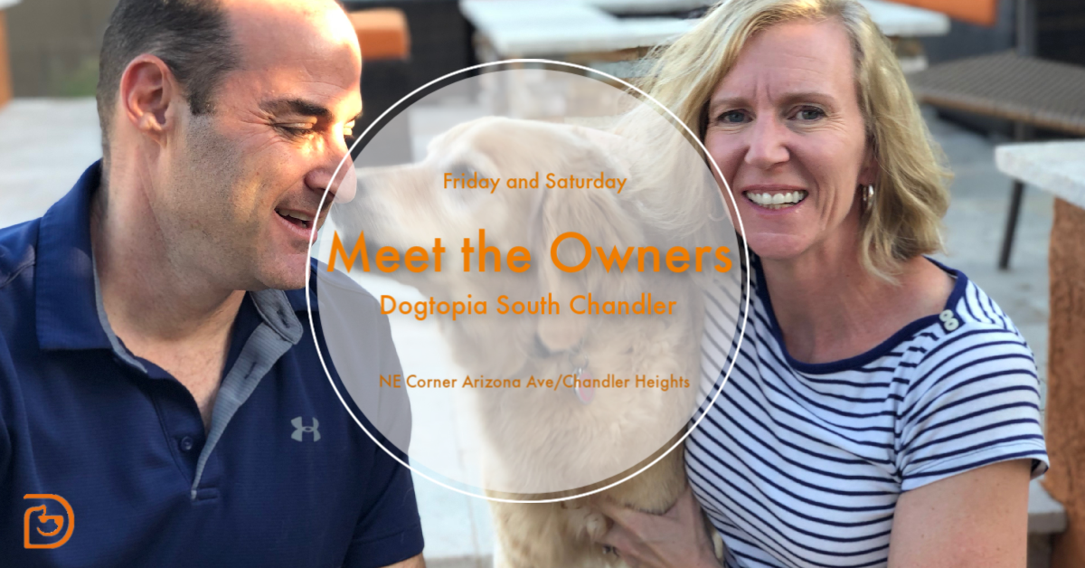 Meet the Owners - South Chandler