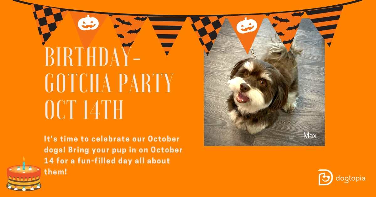Birthday/Gotcha Party - South Chandler