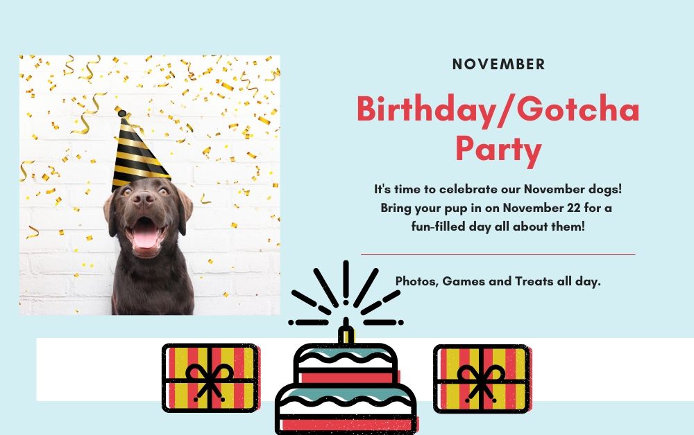 November Birthday/Gotcha Party - South Chandler
