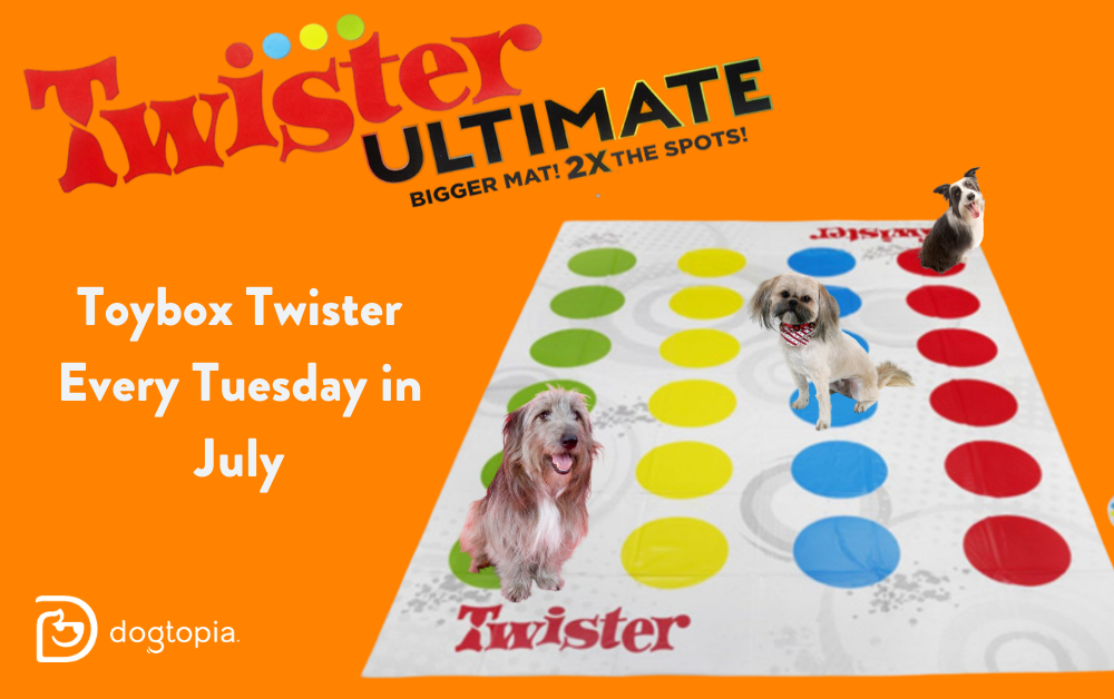 Toybox Twister - South Chandler