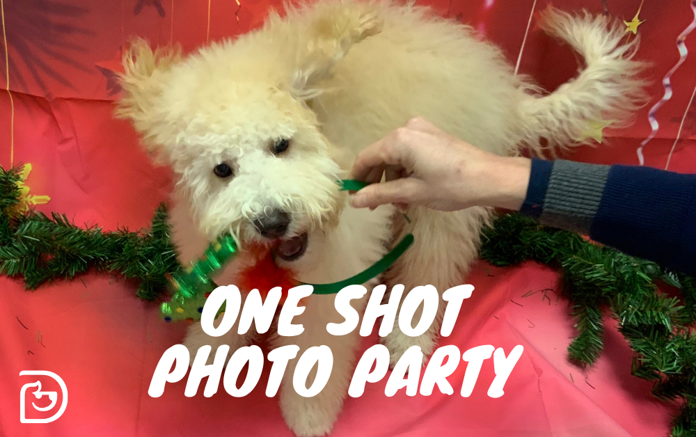 One Shot Photo Party - South Chandler